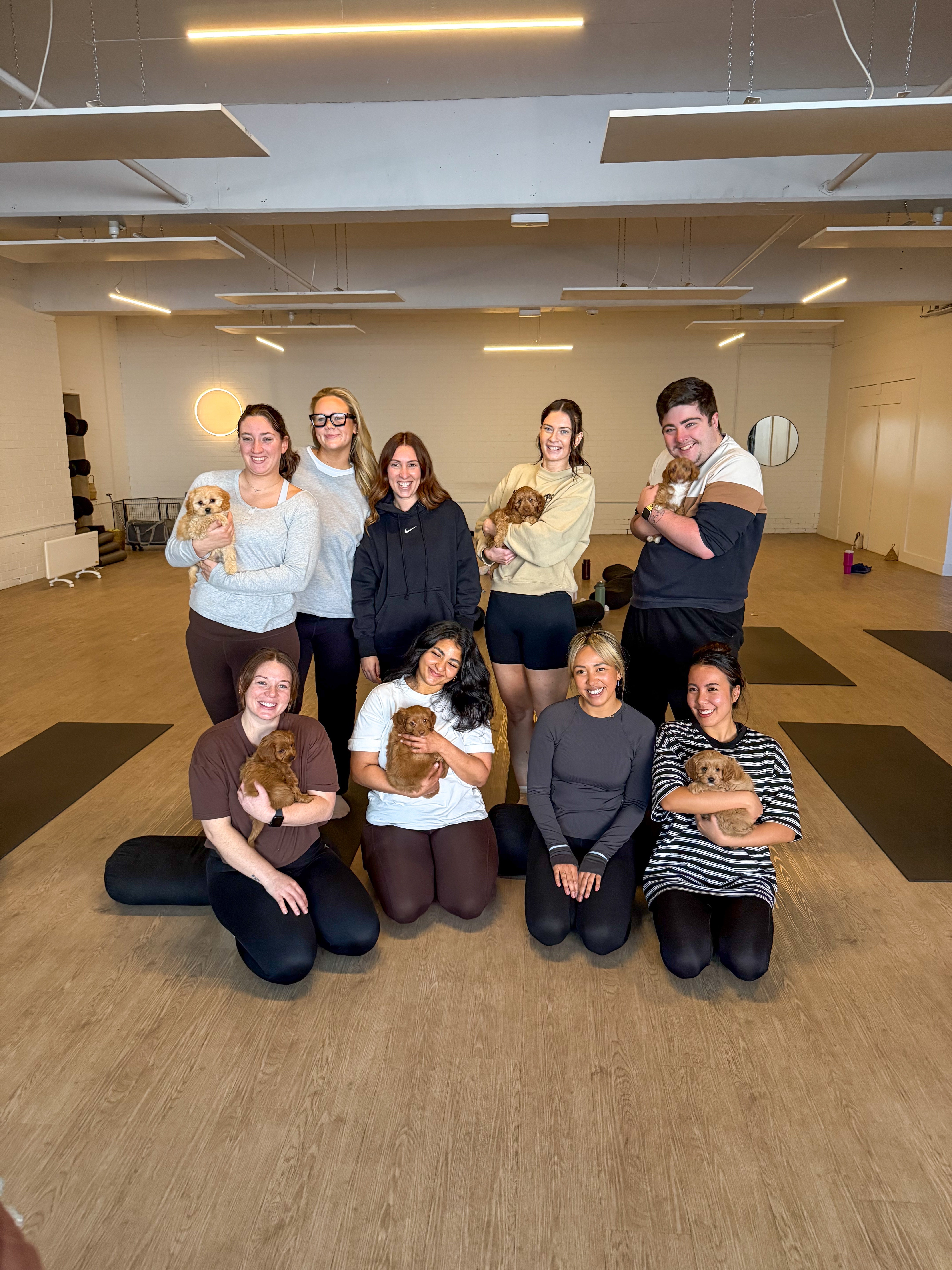 🐶 A Unique Team Building Activity: Try Puppy Yoga with Your Team ...