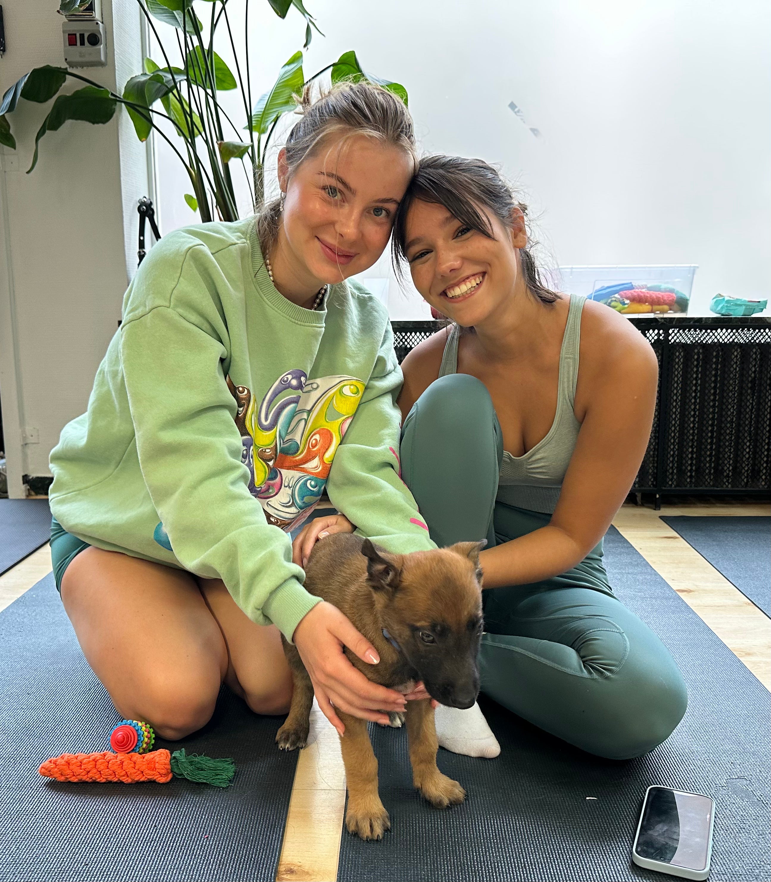 Adelaide Puppy Yoga | Relax, Stretch & Cuddle with Puppies – Positiva ...