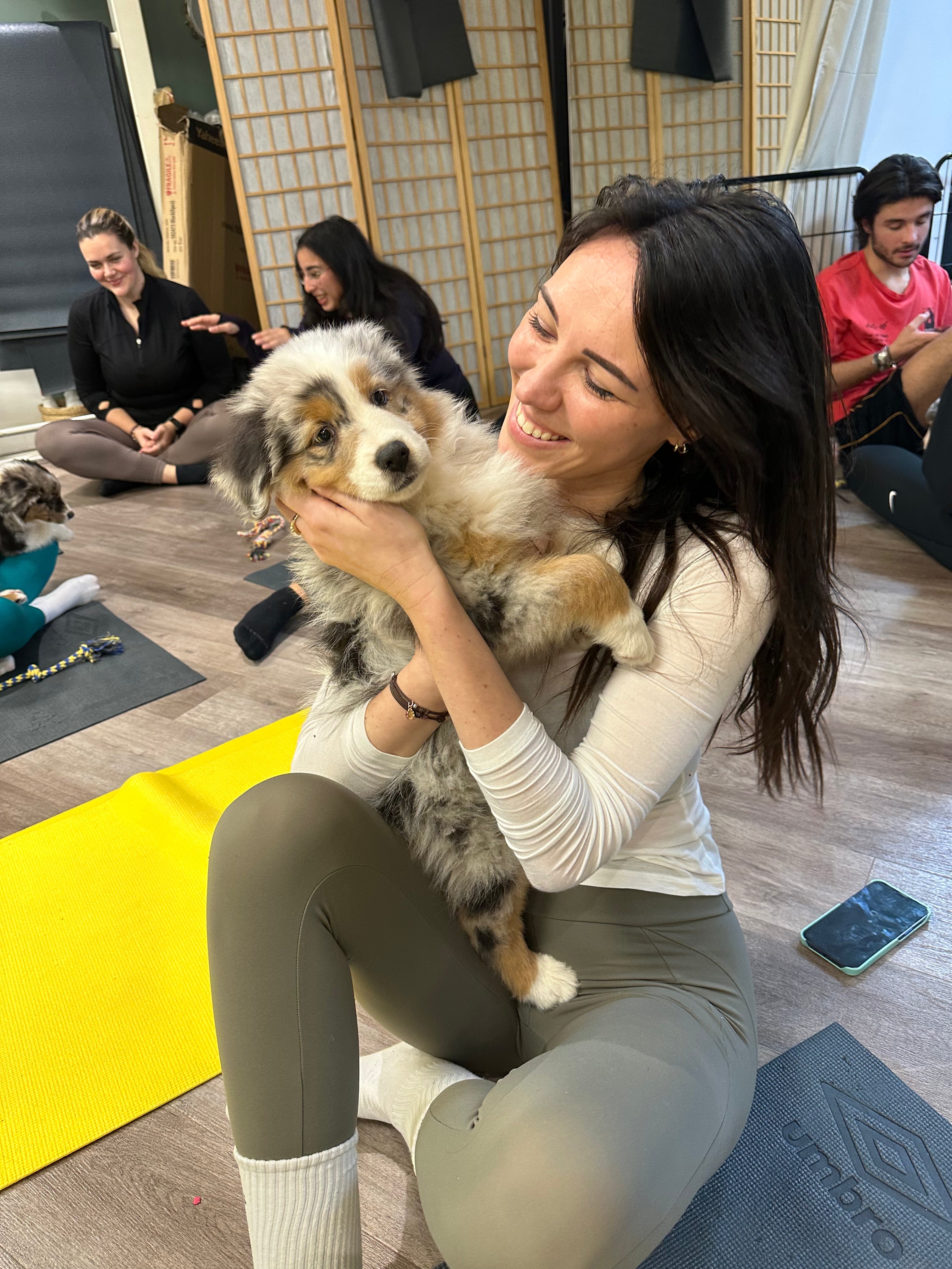 Puppy Yoga Perth – Cute Puppies & Relaxing Yoga Sessions – Positiva ...
